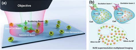 Schematic Illustration Of The Multiplexed Fluorescence Free Download Scientific Diagram