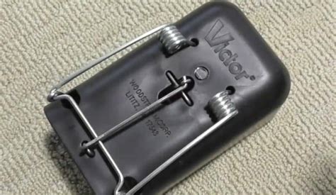 Best Gopher Traps In [year] Expert Reviews Pest Control Hacks