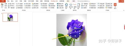 如何给PPT中的图片局部马赛克 知乎