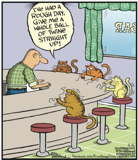 Pin By Cat Eldred On Cartoon Cat Funny Cartoons Cat Quotes Herman Comic