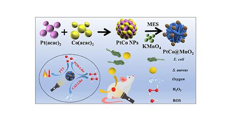 Self Assembled Nanoflowers Realizes Synergistic Sterilization With
