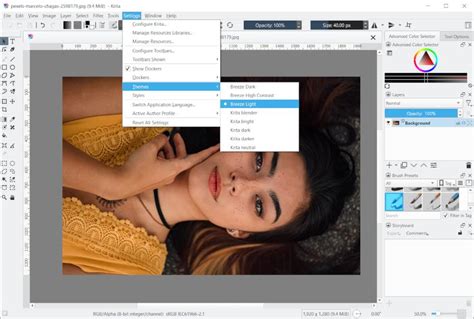 How To Change Theme Colors In Krita 5 0 For Windows Davies Media Design