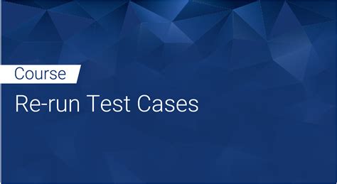 Defensics Re Run Test Cases