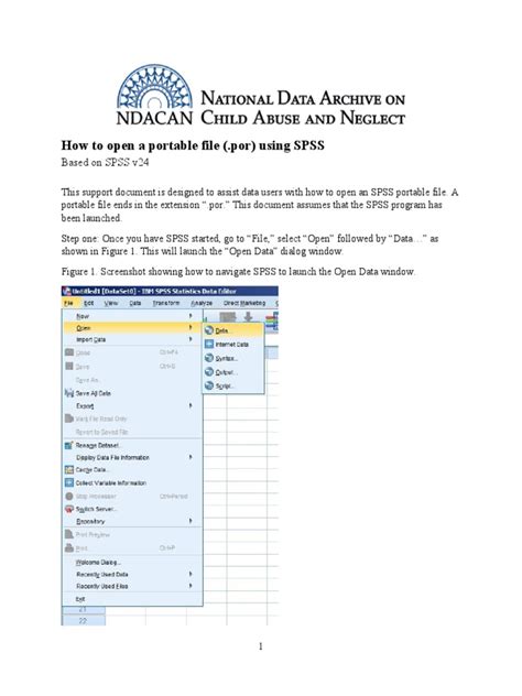 How To Open A Portable File Using Spss Pdf
