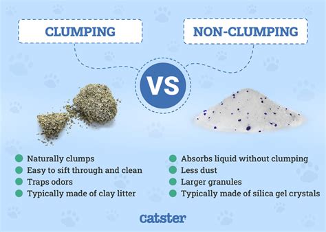 Clumping Vs Non Clumping Cat Litter Vet Reviewed Pros Cons And Which