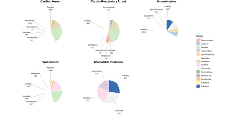 R Pie Charts Using Facetwrap Do Not Show Properly Stack Overflow