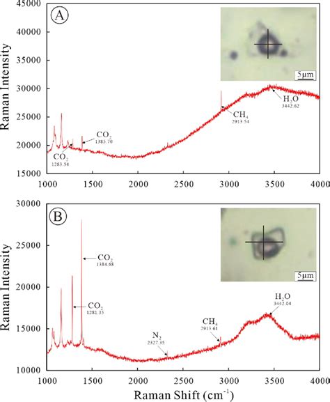 Representative Laser Raman Spectra For Fluid Inclusions From The Dafang Download Scientific