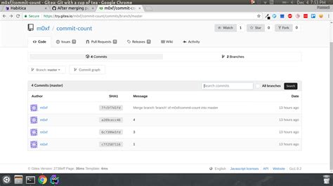 After Merging Pull Request Incorrect Commit Count Displayed · Issue