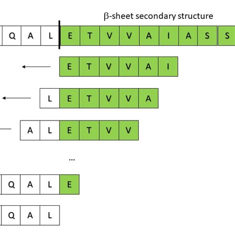 Figure S1 A visualization of the sliding suffix windows of β chains
