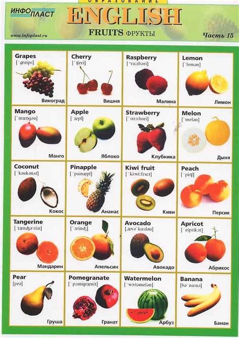 Фрукты Овощи Английский