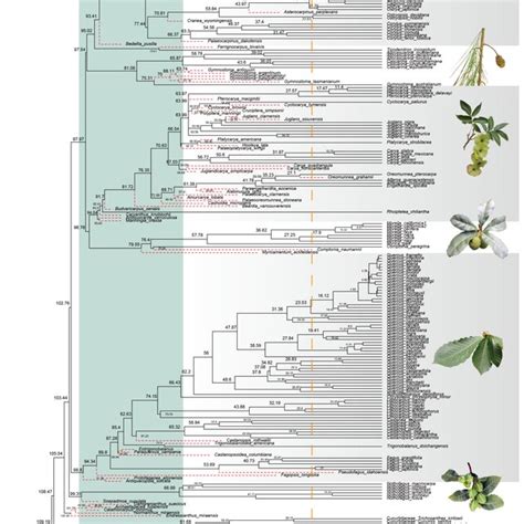 Zhiheng Wang Professor Ph D Peking University Beijing Pku Department Of Ecology