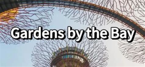 Best Gardens By The Bay Guide What To Do Transport Tickets And More Travel Notes And Guides