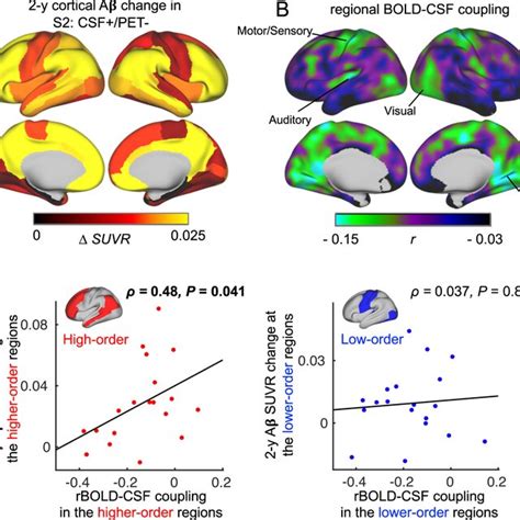 Associations Between The Functional Connectivity And Cerebrospinal Download Scientific Diagram