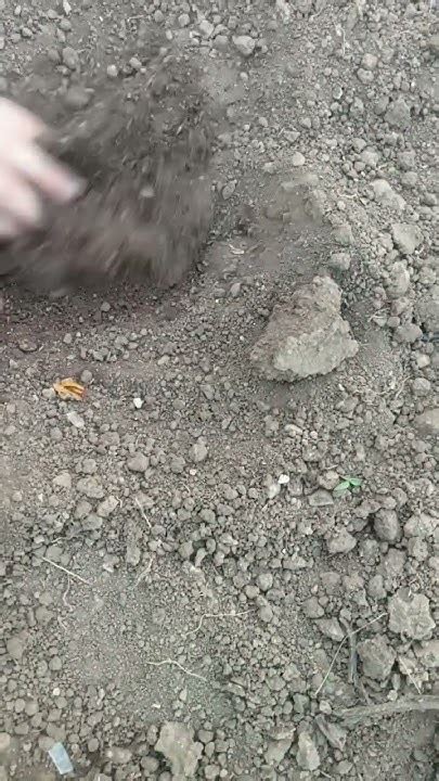 15 април 2024 г Youtube