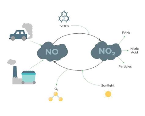 What Are The Sources Of Nitrogen Dioxide Emissions At Thomas Schnell Blog