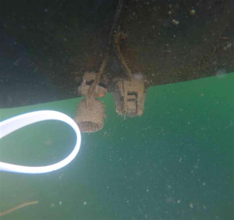 Boat Hull Cleaning Service Boat Bottom Cleaning In Water