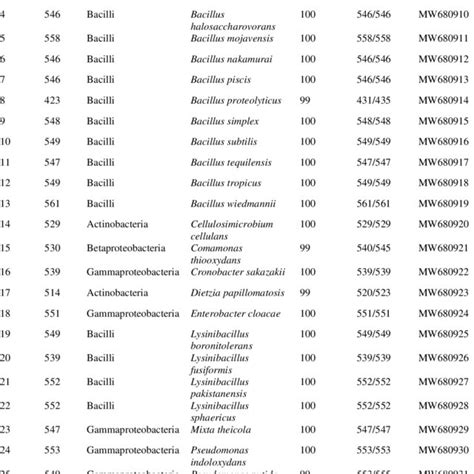 Information Related To 16s Rrna Gene Sequencing Of The Microbial Isolates Download Scientific