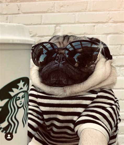 Harsh Vikram Singh On Medium Curated Some Lists