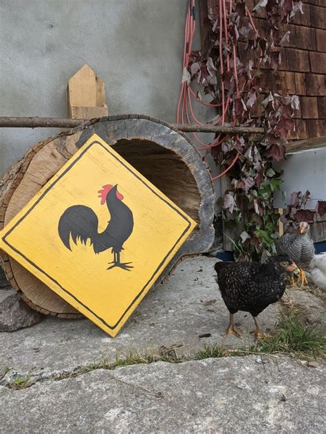 Hey Guys I Found A New Escape Method R Jurassicworldevo