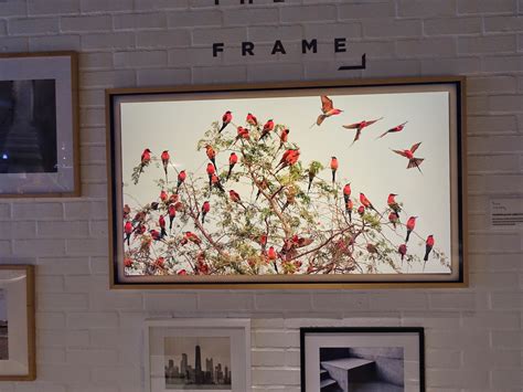 Samsung Frame Tv Doubles As Artwork Hands On Photos Business Insider