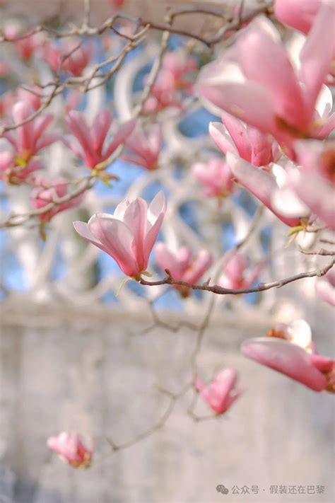 拾言丨因为什么都没有，所以什么都输不起。生活概率情况