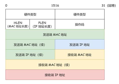 几幅图拿下arp协议 Mami