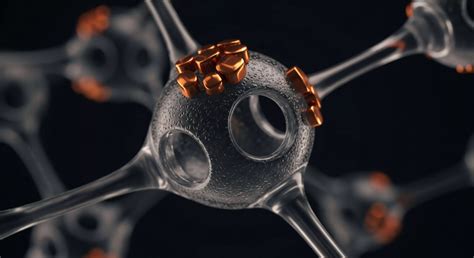 Civil Rehabilitation ∞ Term