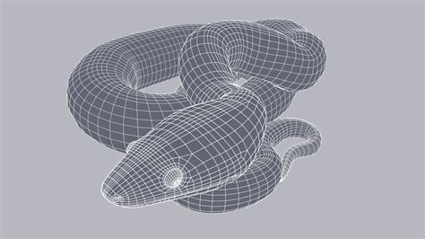 Rigged Bismarck Ringed Python 3d Model By Dibia Digital