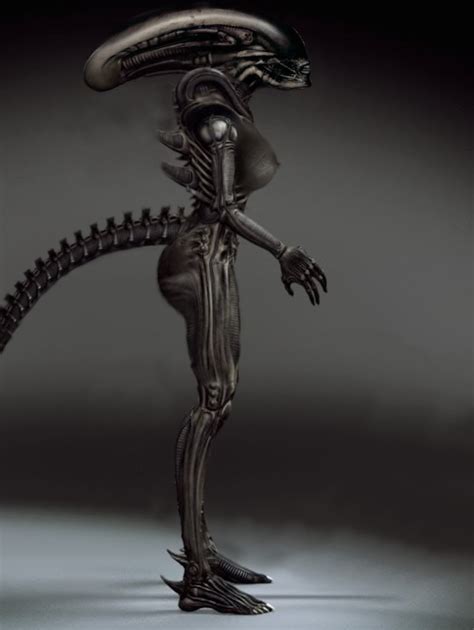 Rule 34 Alien Female Female Xenomorph Tagme Xenomorph 803778