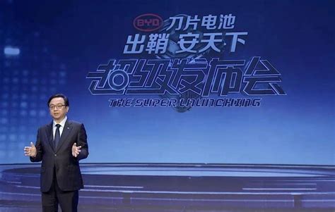 比亚迪新能源年度销量跌幅两位数，补贴退坡后何去何从？ 搜狐大视野 搜狐新闻