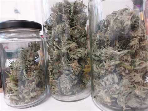 Mini Harvest Im Happy With This Rewarding Experience One Of The