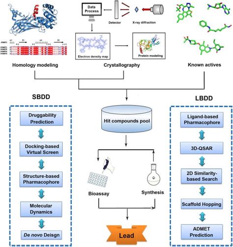 Computer Aided Drug Design CADD Types Uses Examples Softwares