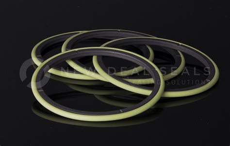 Rotary Seals For Oscillating And Rotating Applications