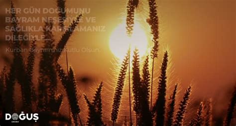 Tolga Akkas Posted On Linkedin