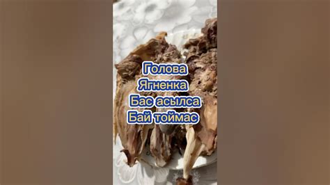 Голова ягненка Бас асылса бай тоймас ногайцы казахстан дагестан кавказ Youtube