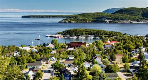 Observation Des Baleines à Tadoussac Conseils Et Astuces