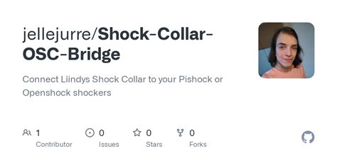 GitHub Jellejurre Shock Collar OSC Bridge Connect Liindys Shock Collar To Your Pishock Or