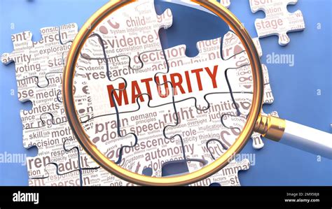 Maturity As A Complex And Multipart Topic Under Close Inspection Complexity Shown As Matching