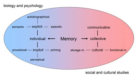 the 3 major types memory and every subtype a complete guide