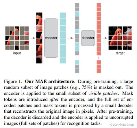 （pytorch进阶之路）masked Autoencoder论文及实现pytorch Randommask Csdn博客