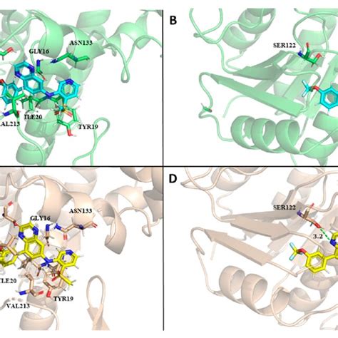 Illustration Of Protein−ligand Binding Modes For The Pfkfb3−ligand 41