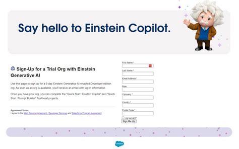 Chathura Ranasinghe On Linkedin Salesforce Einsteincopilot