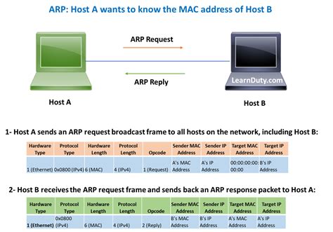 Arp Vs Garp Vs Rarp Explained With Wireshark Capture And Examples Learn Duty