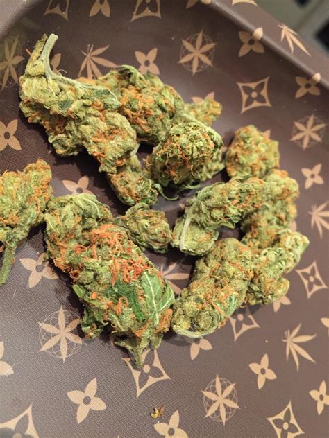 Beauty At Its Finest R Crainn