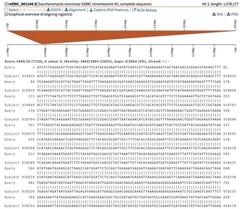 Nucleotide Blast Pombase Documentation Gene Page Sequence