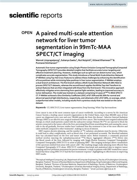 Pdf A Paired Multi Scale Attention Network For Liver Tumor Segmentation In 99mtc Maa Spect Ct
