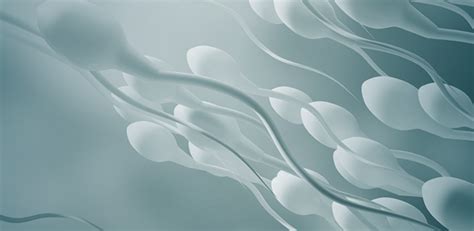 Sperm Dna Fragmentation Test First Genomix