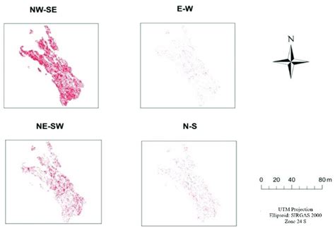 Directional Maps Of Linears Features Automatically Extracted By The Download Scientific Diagram