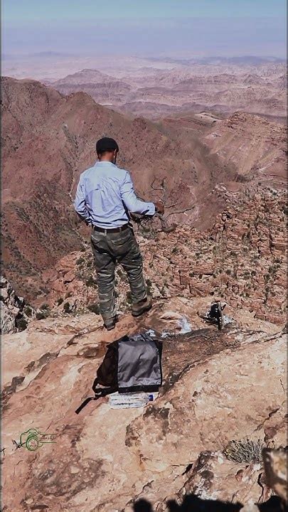 طويلالشوق جبلاسماعيل الدثنةلواءبصيرة Youtube