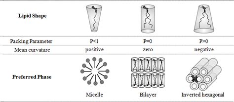 The Geometric Packing Parameter As A Function Of Lipid Type The Download Scientific Diagram
